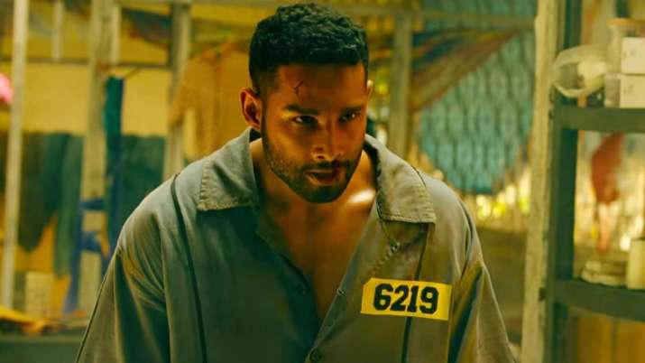 Yudhra Movie Review: Siddhanth Chaturvedi's passionate film is action packed with classy and ...