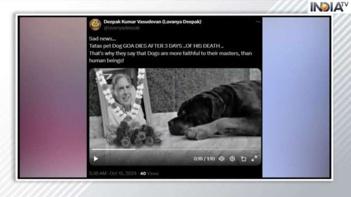 Fact Check: Did Ratan Tata's pet dog 'Goa' die days after industrialist ...