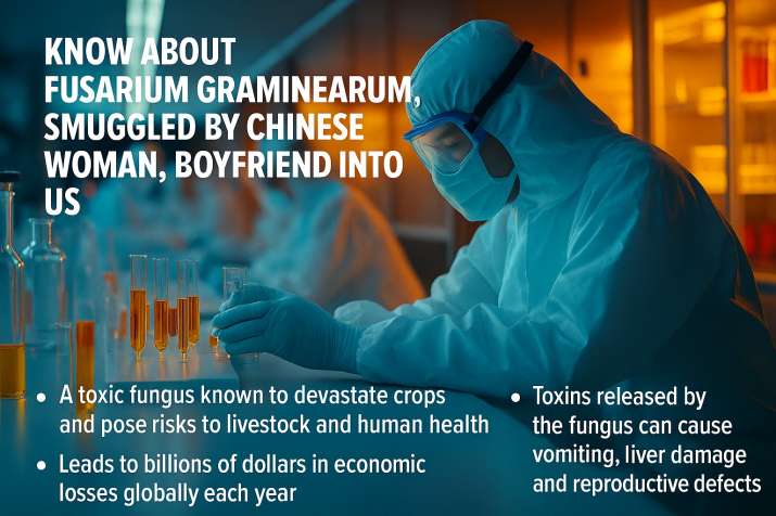 Chinese researchers charged with smuggling agroterror fungus into US ...