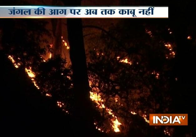 Forest fires engulf large area near Mata Vaishno Devi Shrine | India ...