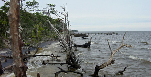 Rising sea levels put 40 million Indians at risk; Mumbai and Kolkota to ...