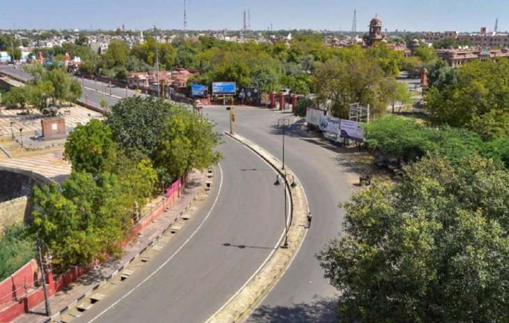 Rare species of Babool tree found in Rajasthan after 68 years | Babool ...