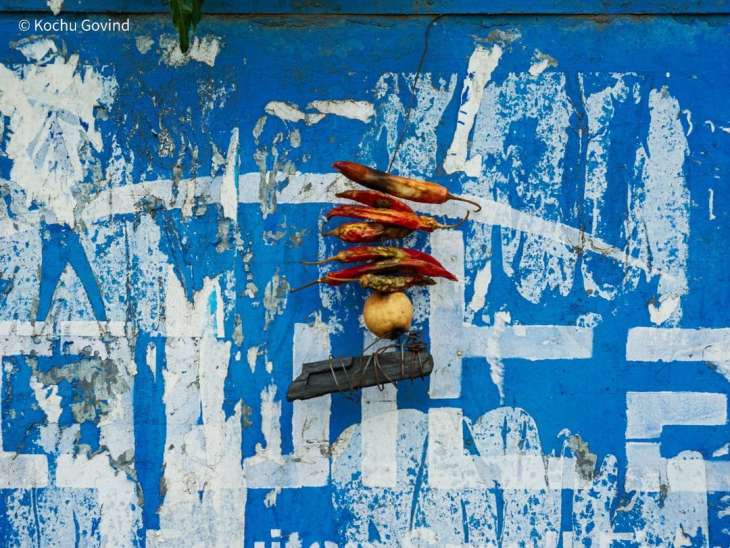 Do you know the scientific reason behind hanging lemon-chilli on ...