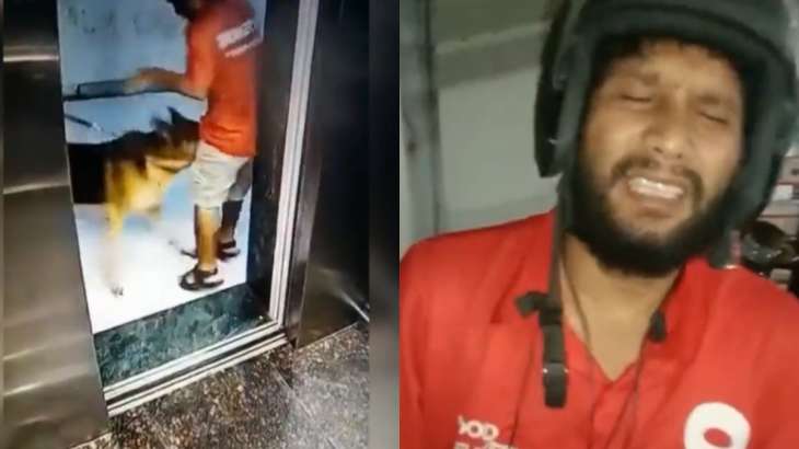 Zomato delivery guy gets bitten by dog on private part, netizens say ...