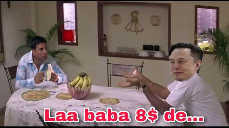 Elon Musk's pay to get blue tick on Twitter 'scheme' is making netizens ...