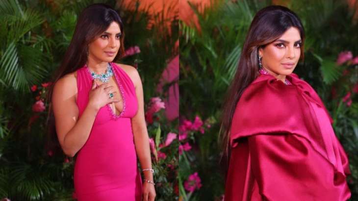 Priyanka Chopra makes royal appearance in extravagant bold pink gown ...