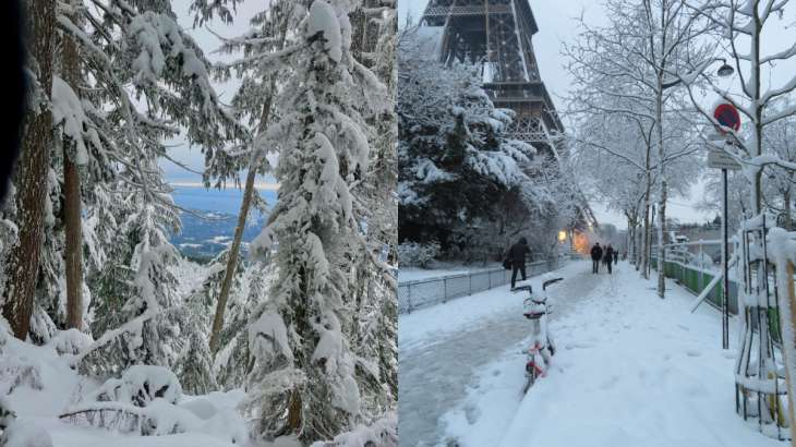 New York paralyzed by winter snow storm; videos and photos of houses ...