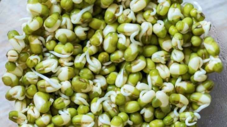 Discover the health benefits of moong dal sprouts | Discover News ...