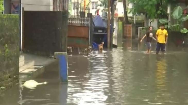 Playing in stagnant water after waterlogging can lead to health hazards, say experts | Playing ...