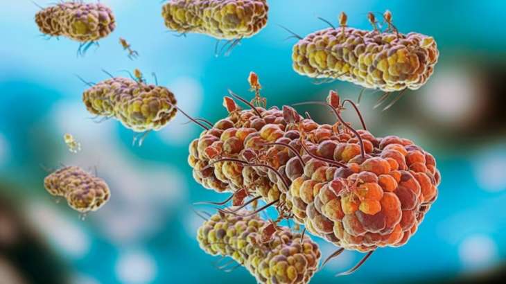 World Zoonoses Day 2023: Five zoonotic diseases that transmit from ...