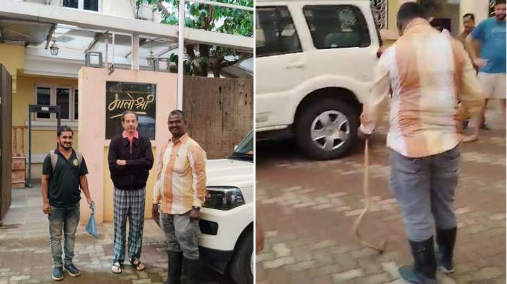 Mumbai: Four-feet long snake found at Uddhav Thackeray's residence ...