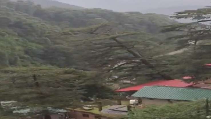 Himachal Pradesh Shimla houses collapses landslide hill collapses watch video heavy rainfall ...