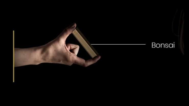 XSCACE Bonsai Speakers: The ultra-compact audio marvel you didn't know ...