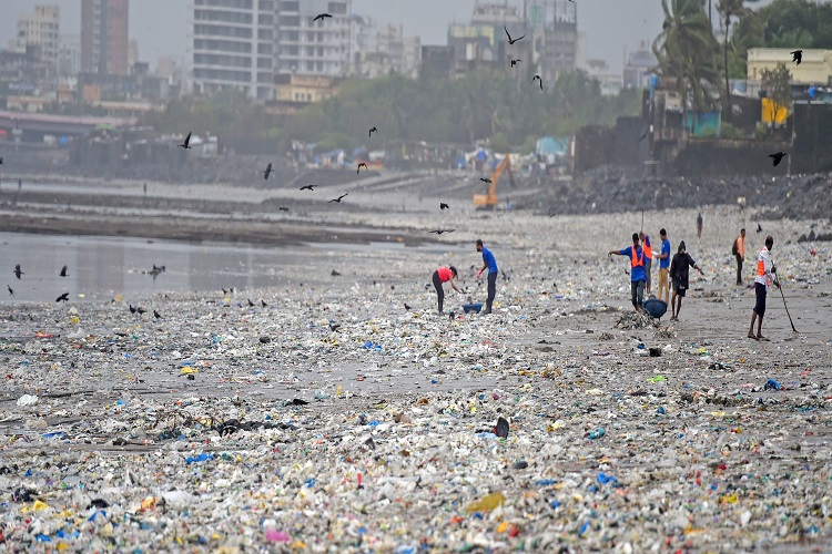 Mumbai rains: High tide spills nearly 361 tonnes of garbage along Marine Drive| See pictures