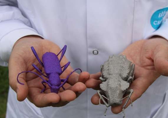 Australian scientists uses 3D printer to create super-sized bugs ...