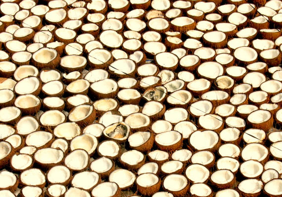 Select spices slide on reduced offtake, good supply | India News – India TV