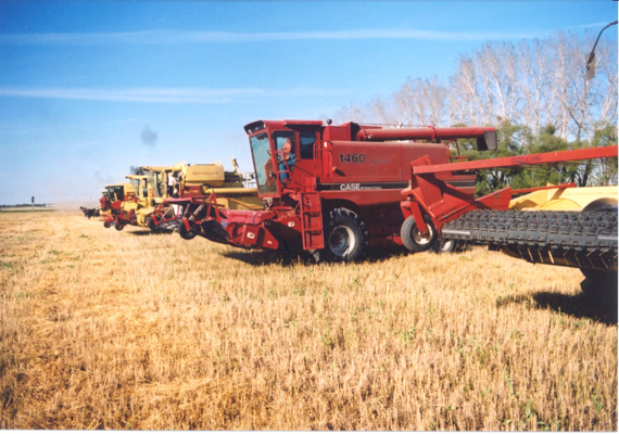 Subsidised Food Should Be Given Only To Really Needy, Says Pawar ...