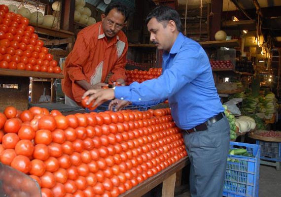 Tomato prices touches Rs 80 per kg | India News – India TV