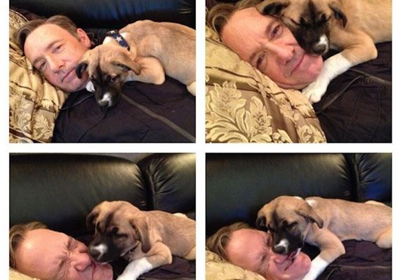 Spacey names pet 'Boston' as tribute to city | Hollywood News – India TV