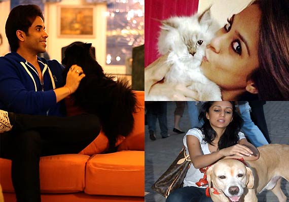 Tusshar Kapoor, Sana Saeed, Mahi Gill: Bollywood celebs and their pet ...