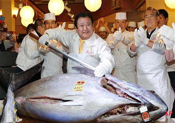 Bluefin tuna sells for record $1.76M in Tokyo | World News – India TV