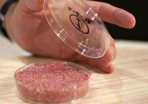 World's first lab grown stem cells implanted | World News – India TV