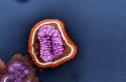 Nasa To Announce Discovery Of Alien Microbe | World News – India TV