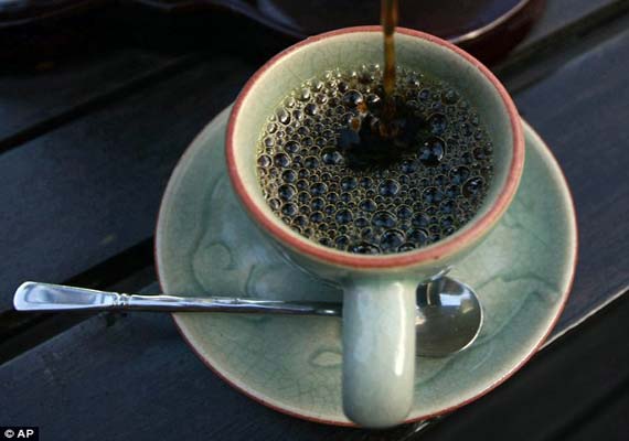 World's most expensive coffee brew comes from elephant dung | World ...
