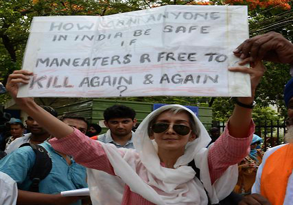 CBI to appeal against Sajjan Kumar's acquittal in 1984 riots case | India News – India TV