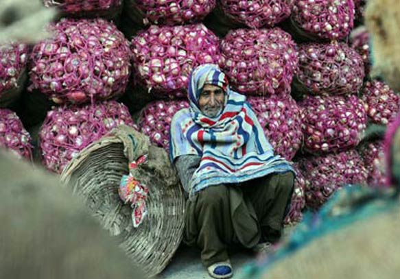 Govt Lifts Ban On Onions Exports | India News – India TV