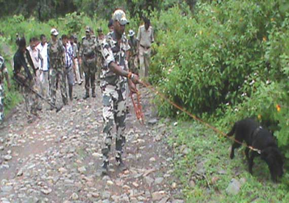 12 IEDs recovered following search operation | India News – India TV