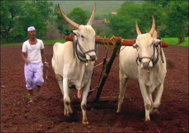 India's Real Skills Challenge: 263 Million Farm Workers- India TV News ...