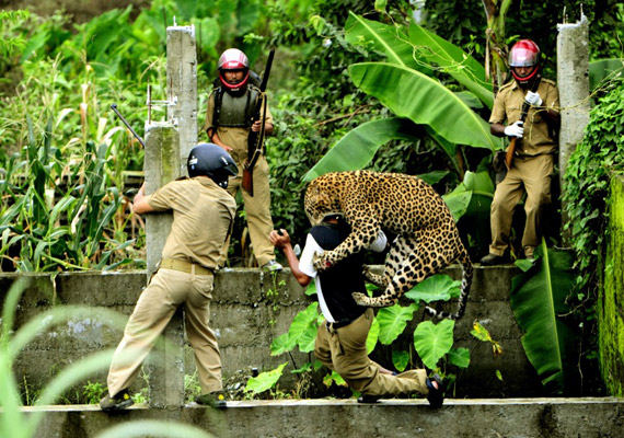 Man killed, woman injured in separate leopard attacks | India News ...