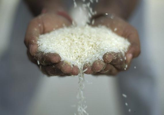 NHRC seeks report on Odisha rice distribution | India News – India TV