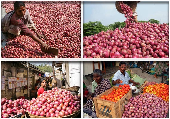 Onion price soars to Rs 80 a kg as hoarders go on overdrive | India News – India TV