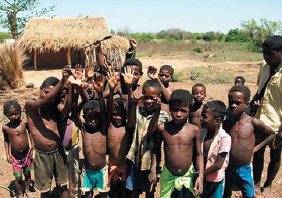 Number of poor rising in Bihar: BJP MP's survey | National News – India TV