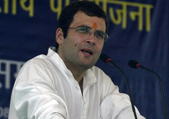 Rahul To Launch Congress Campaign In UP On Nov 14 | National News ...
