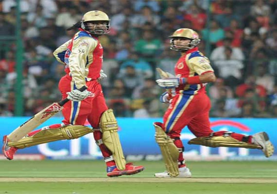 IPL6: RCB stave off Pune's challenge for first away win | Cricket News ...