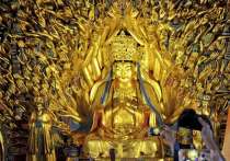 Buddha Latest News, Photos and Videos - India TV News