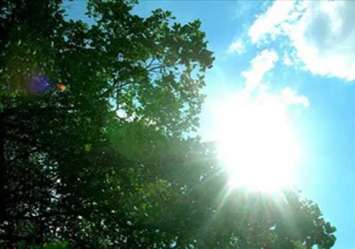 Sunny Day