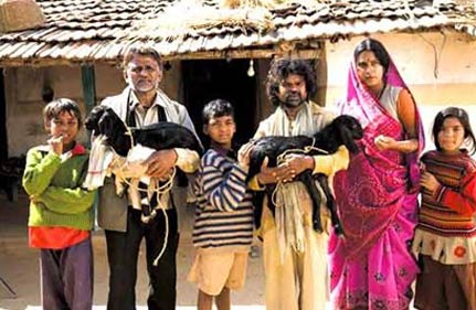 Peepli Ao Vivo Natha