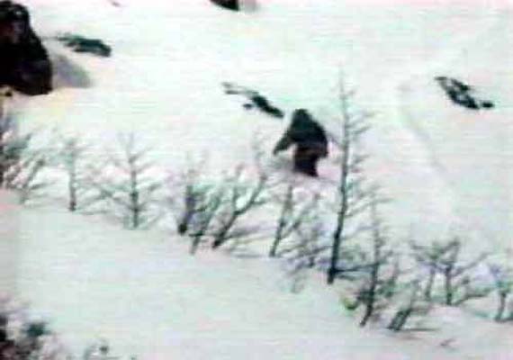 Yeti is Himalaya's greatest mystery | World News – India TV