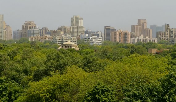 Delhi govt takes steps to restore North Ridge's biodiversity | India ...