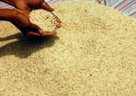 Odisha rice millers seek quality paddy | India News – India TV
