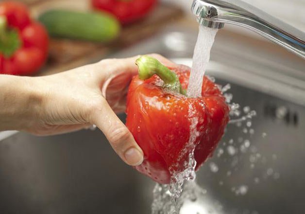 Tips to keep your food safe “IndiaTV news | Lifestyle News – India TV