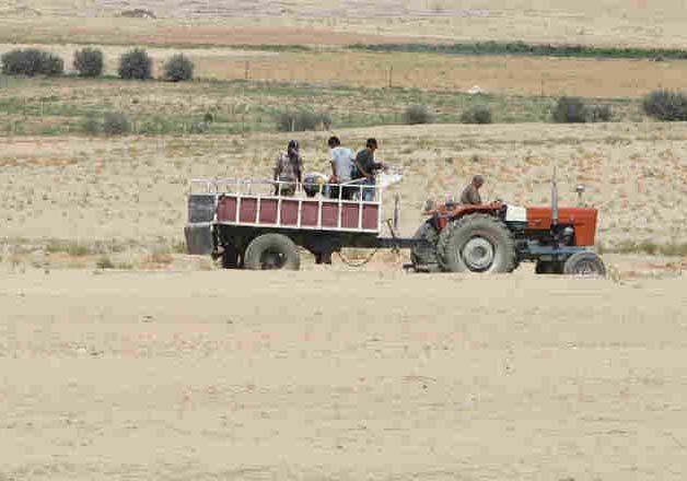 Climate change sparked Syrian conflict-India TV News | India News ...