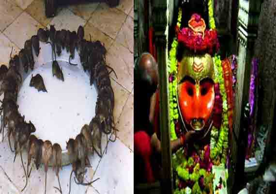 Know ten unique types of prasad offered in temples of India | India ...