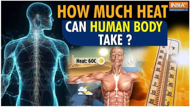 Heatwave in India: How much heat can human body take? What happens if ...