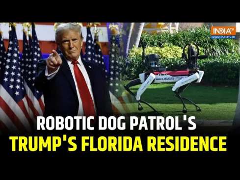 Robotic Dog Spotted Patrolling Outside Donald Trump's Residence In ...